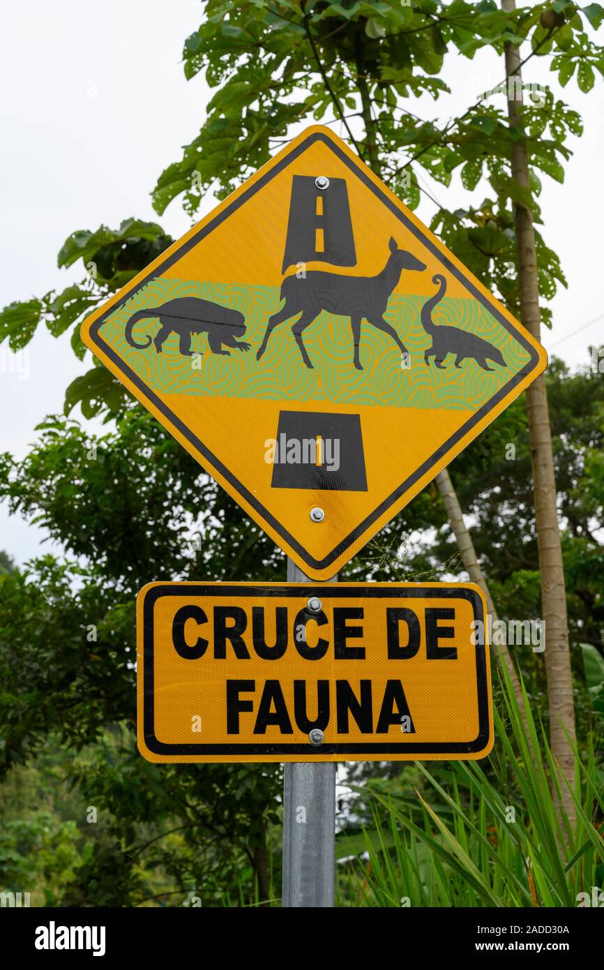 Road signs on a highway in Puntarenas Province warning of wildlife ...