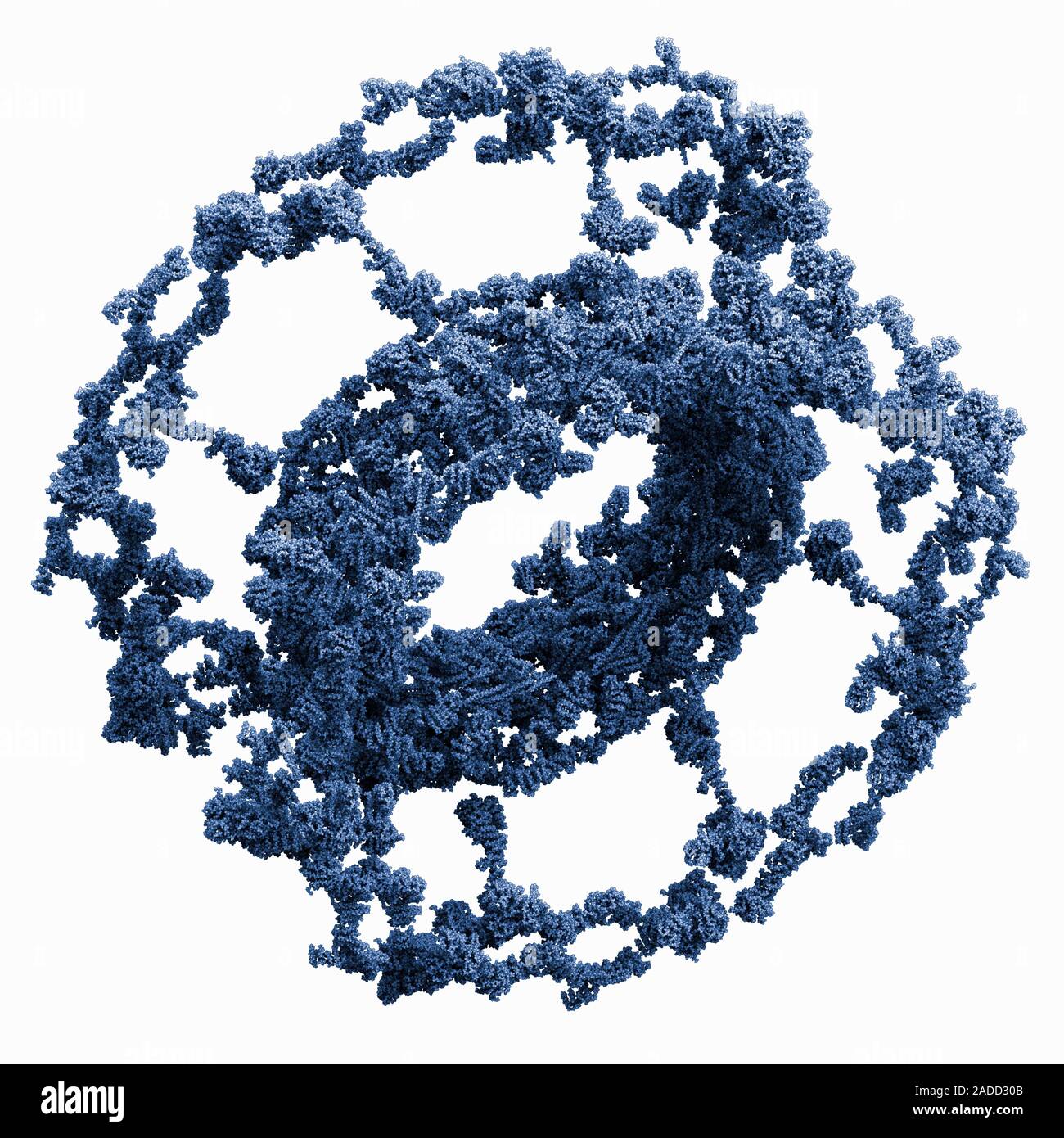Nuclear core complex. Computer model showing the structure of the ...