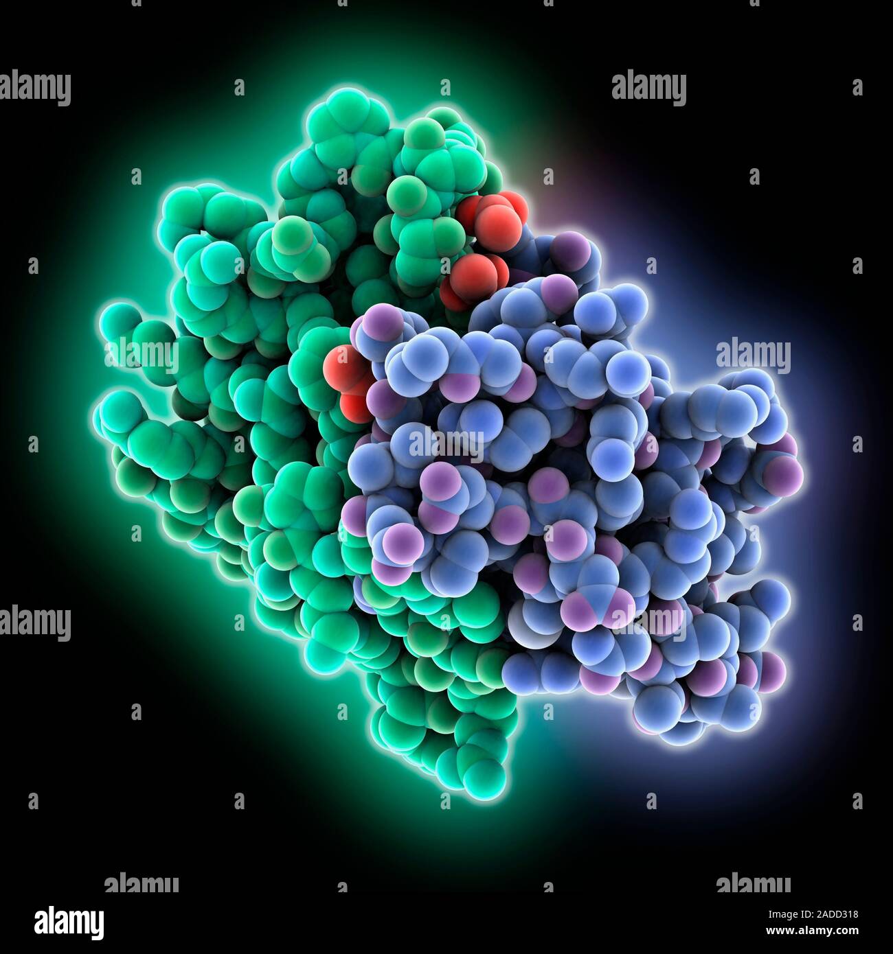 CRISPR-associated endoribonuclease Cas2. Computer model showing the ...