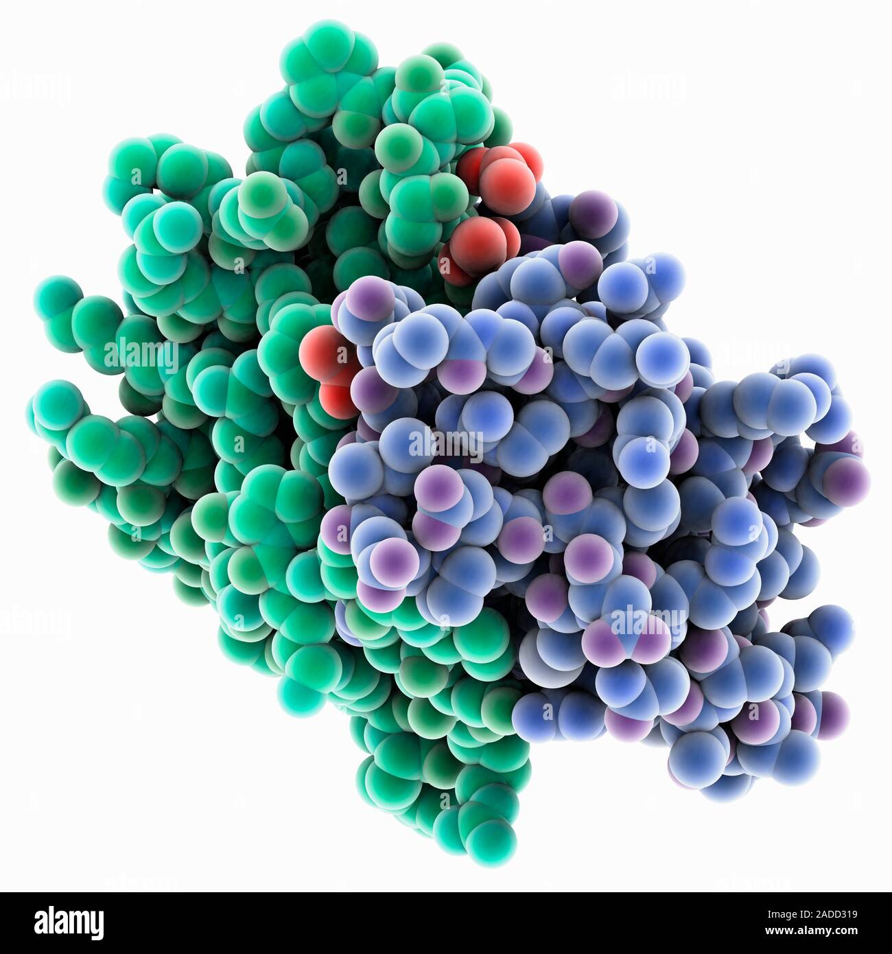 CRISPR-associated endoribonuclease Cas2. Computer model showing the ...
