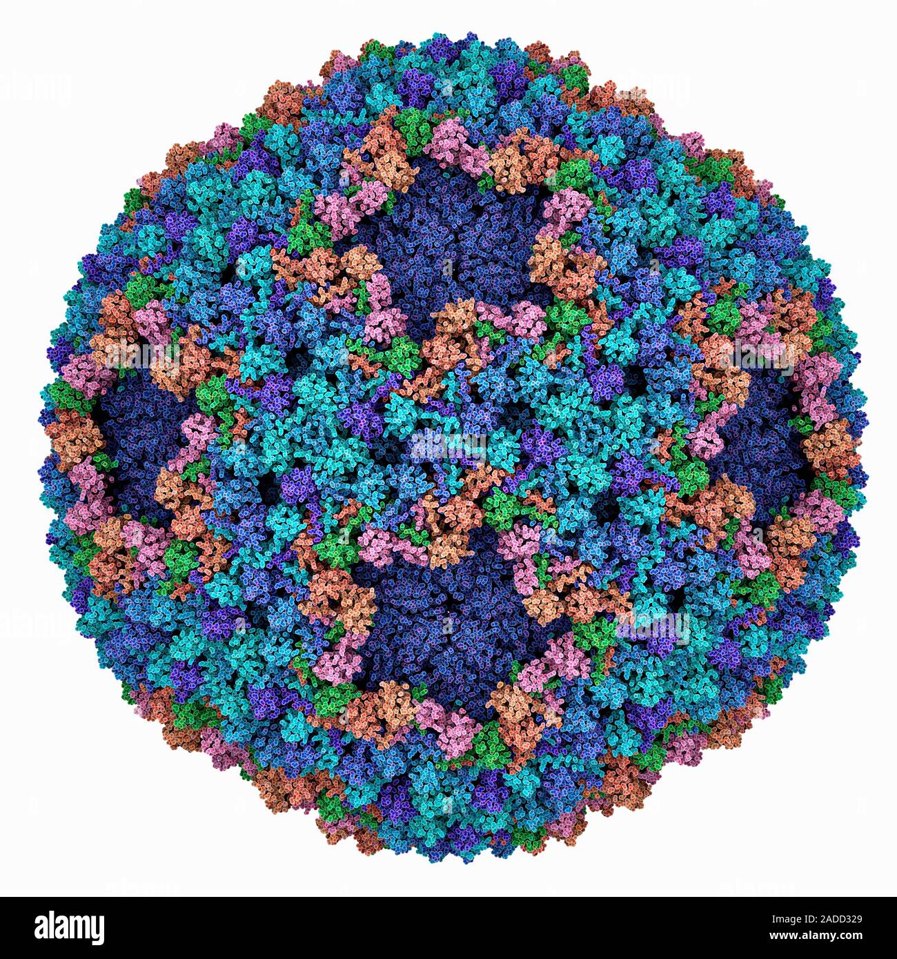 Bacteriophage Phi6 virus capsid. Computer model showing the structure ...