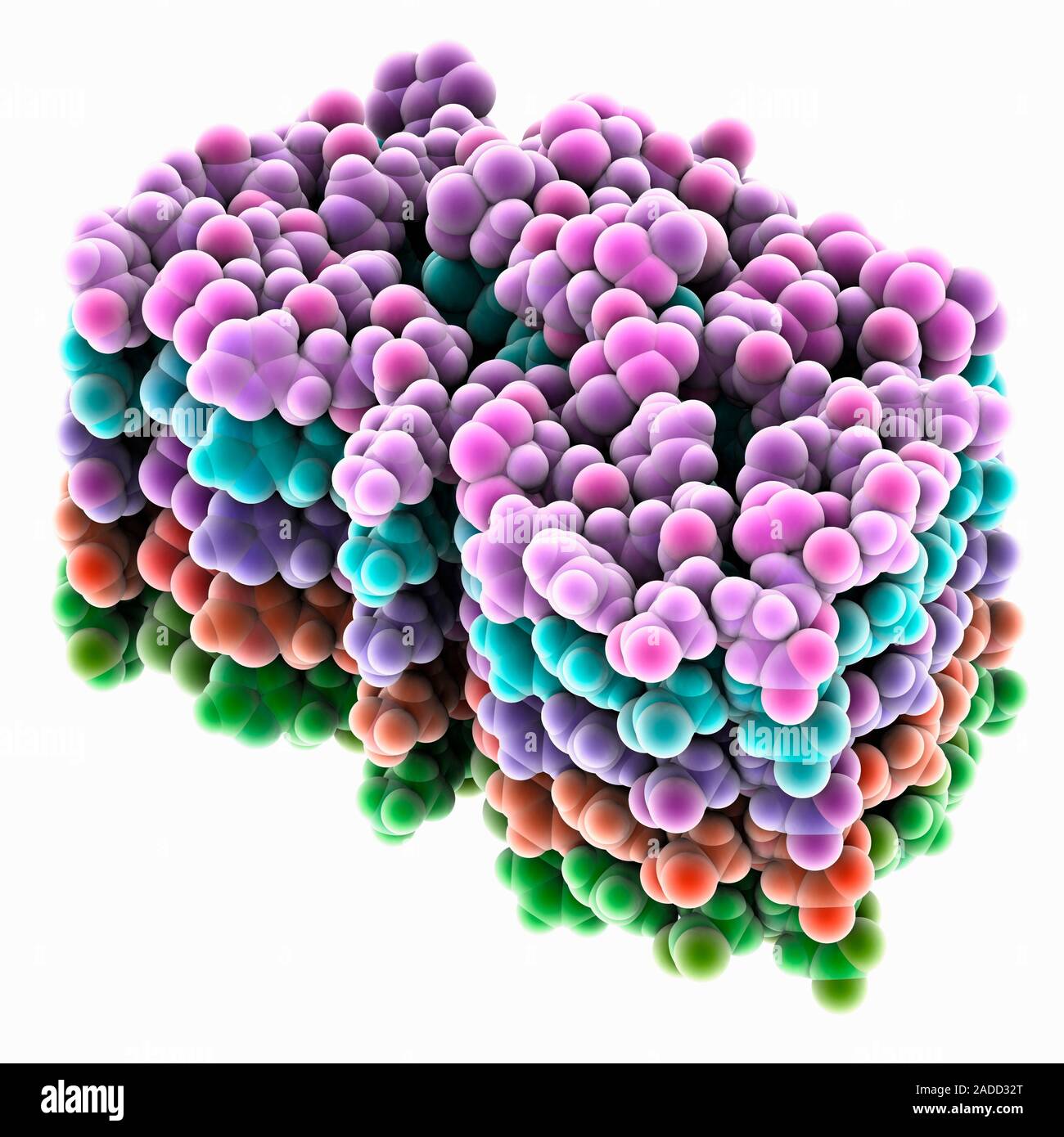 Complete amyloid-beta (1-42) protein. Computer model showing the fibril ...
