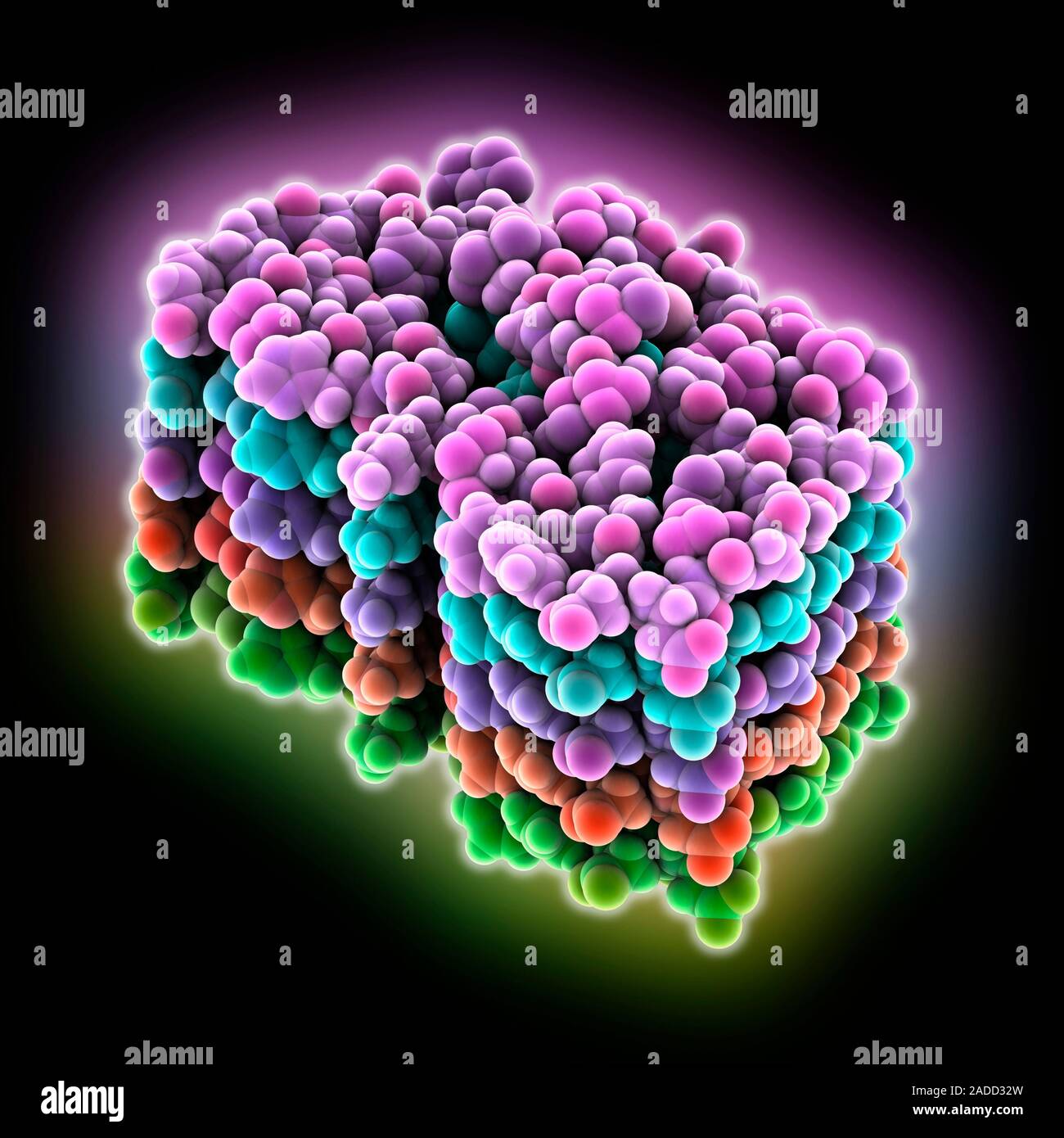 Complete amyloid-beta (1-42) protein. Computer model showing the fibril ...