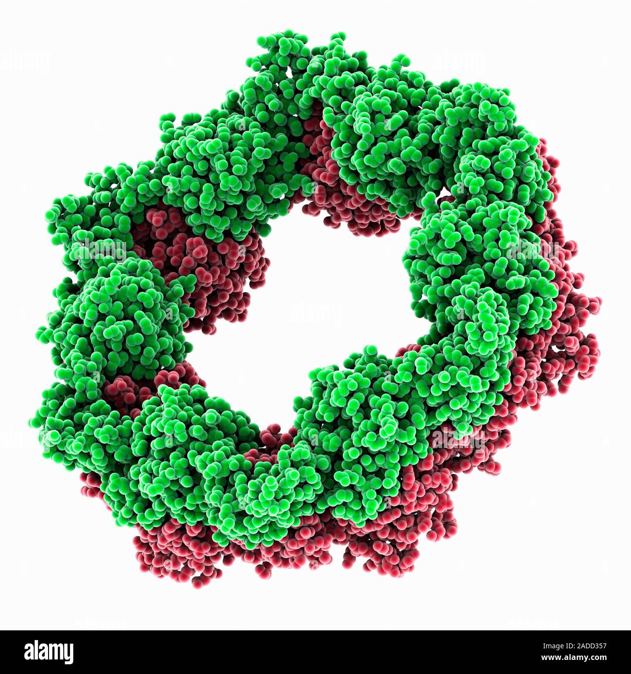 Peroxiredoxin from Pyrococcus horikoshii. Computer model showing the ...