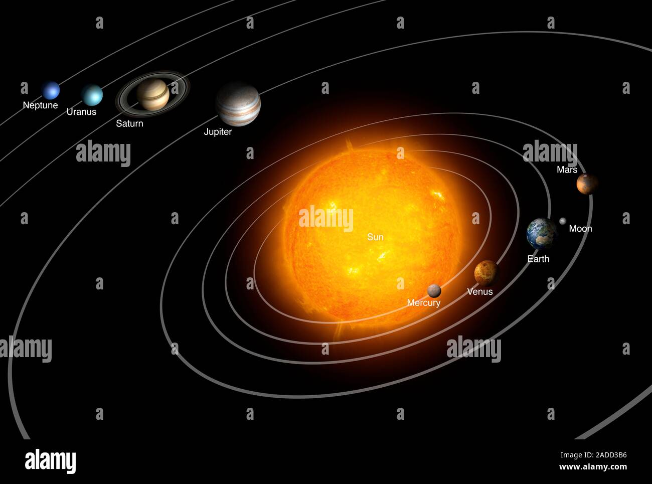 Solar System orbits. Illustration of Earth's solar system, showing the ...