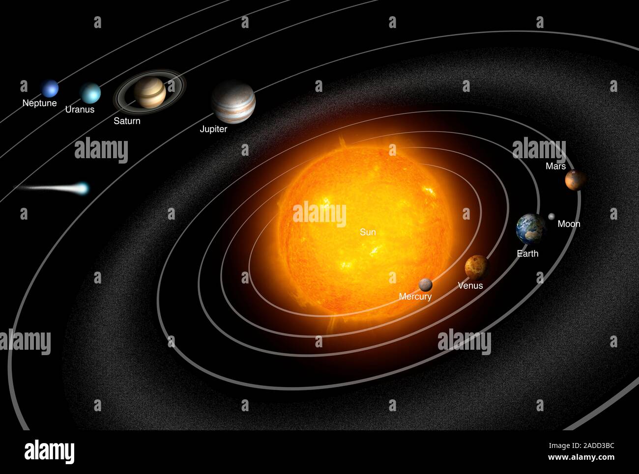 Solar System orbits. Illustration of Earth's solar system, showing the ...