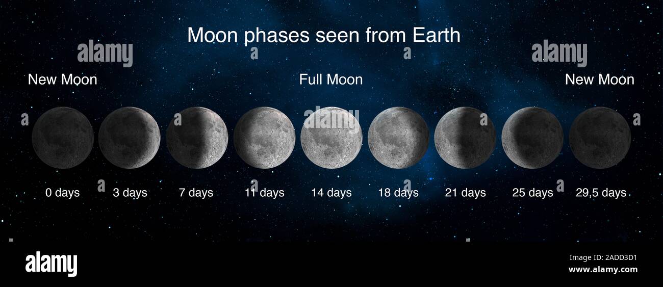 Phases of the Moon, illustration. North is at top. As the Moon orbits ...