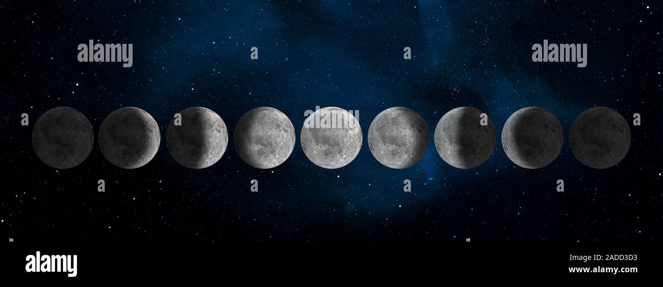 Phases of the Moon, illustration. North is at top. As the Moon orbits ...