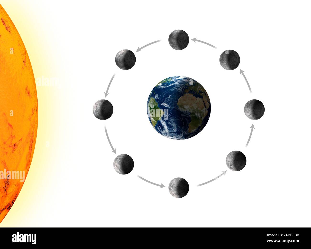 Phases of the Moon as seen from space, illustration. As the Moon orbits ...
