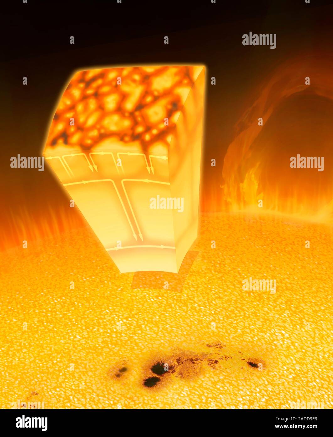 Schematic illustration showing the surface of the Sun, the photosphere ...