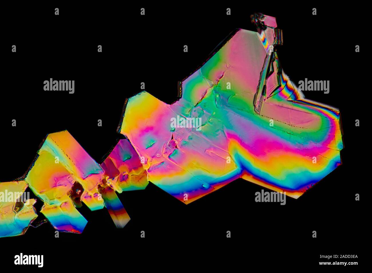 Glycine crystals. Polarized light micrograph of crystals of glycine ...