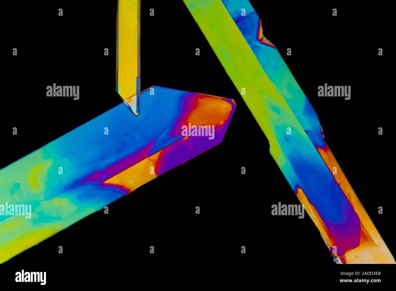 Glycine crystals. Polarized light micrograph of crystals of glycine ...