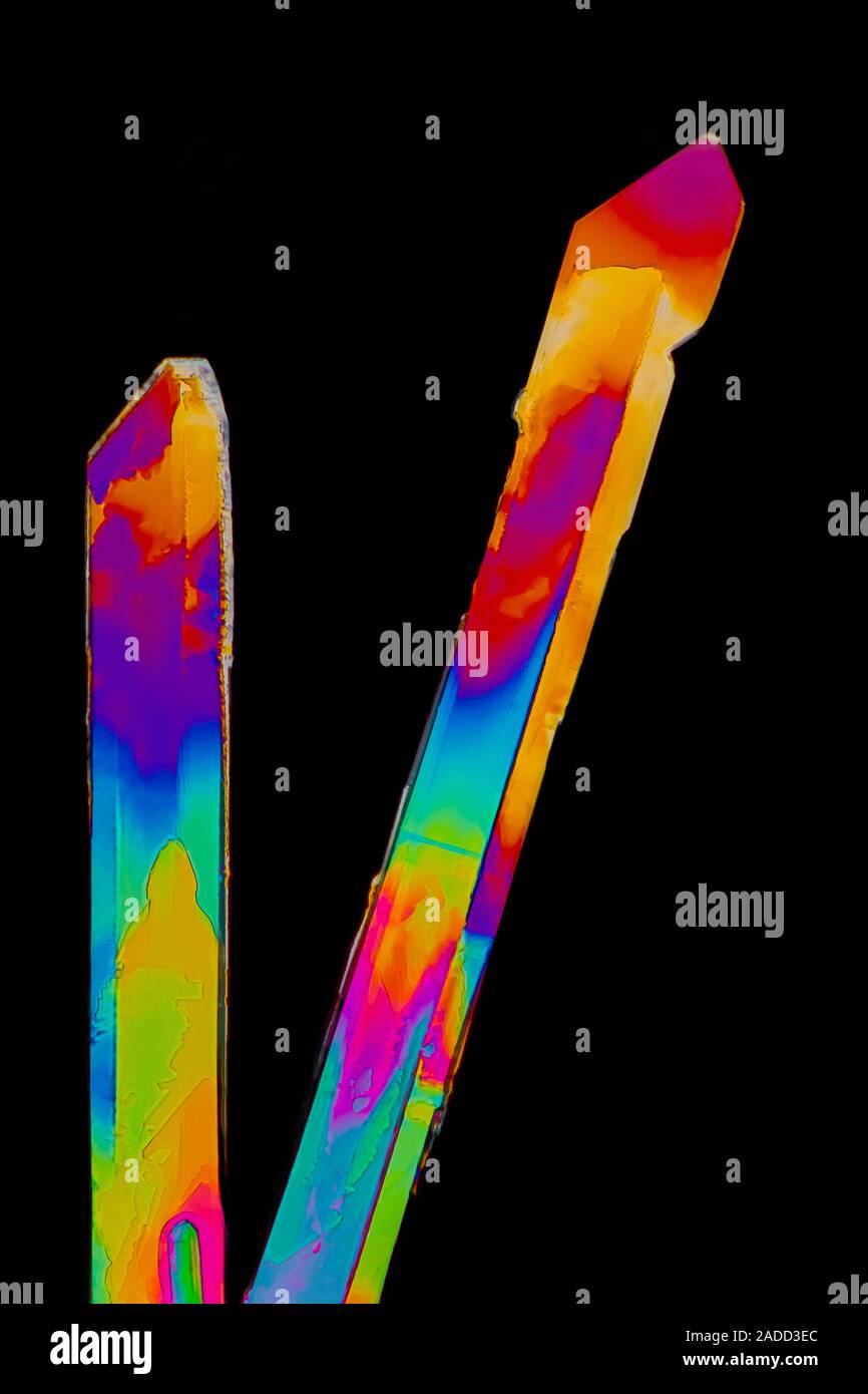 Glycine crystals. Polarized light micrograph of crystals of glycine ...
