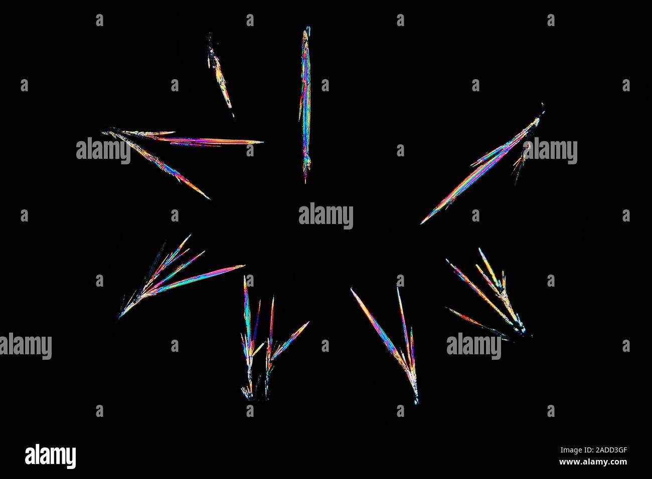 Adenine crystals. Polarized light micrograph of crystals of the purine ...