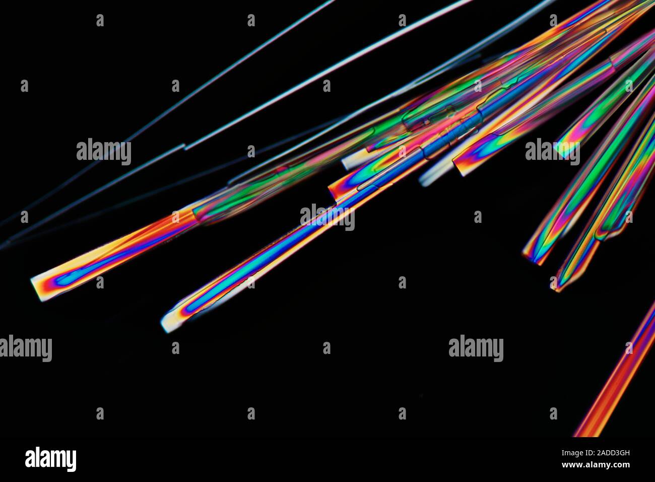 Adenine crystals. Polarized light micrograph of crystals of the purine ...