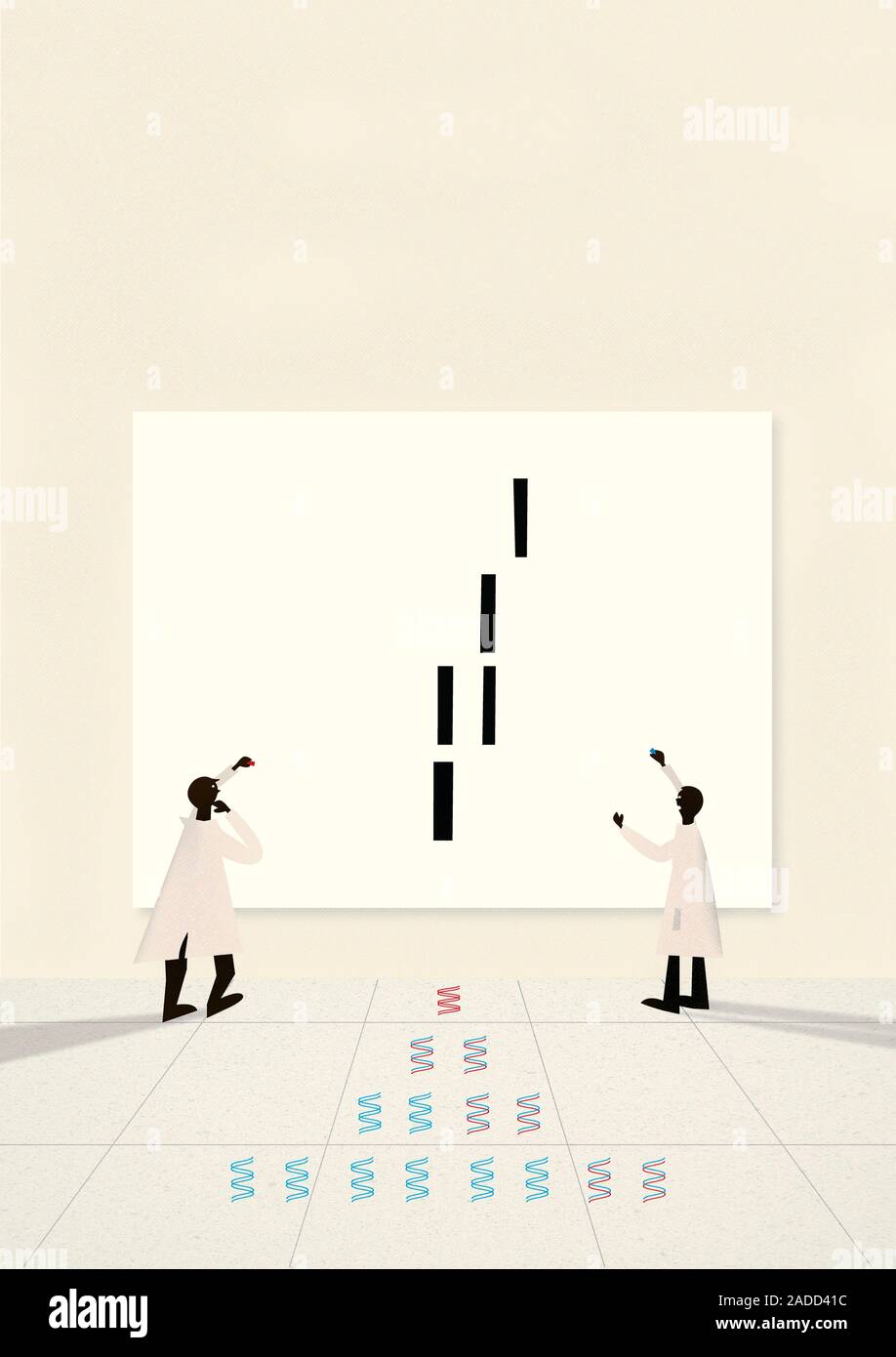 Meselson-Stahl experiment, 1958. Illustration of US geneticists Matthew ...