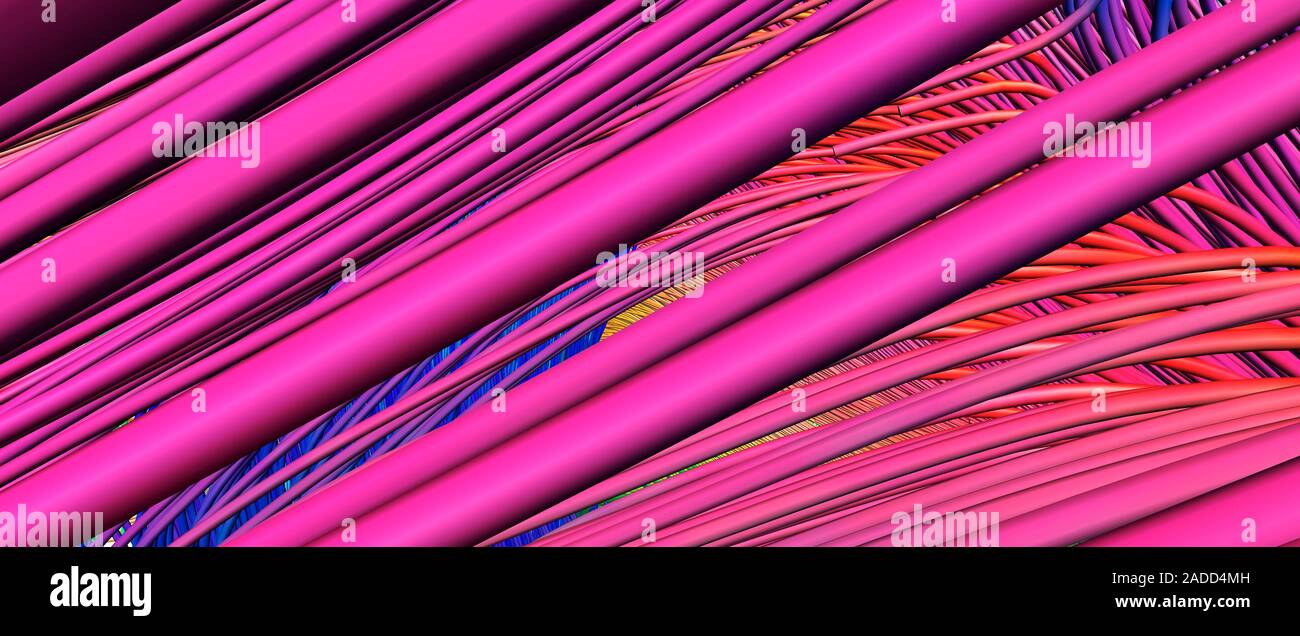Diffusion tensor imaging (DTI) scan. Reconstructed brain white matter fibres of the corpus ...