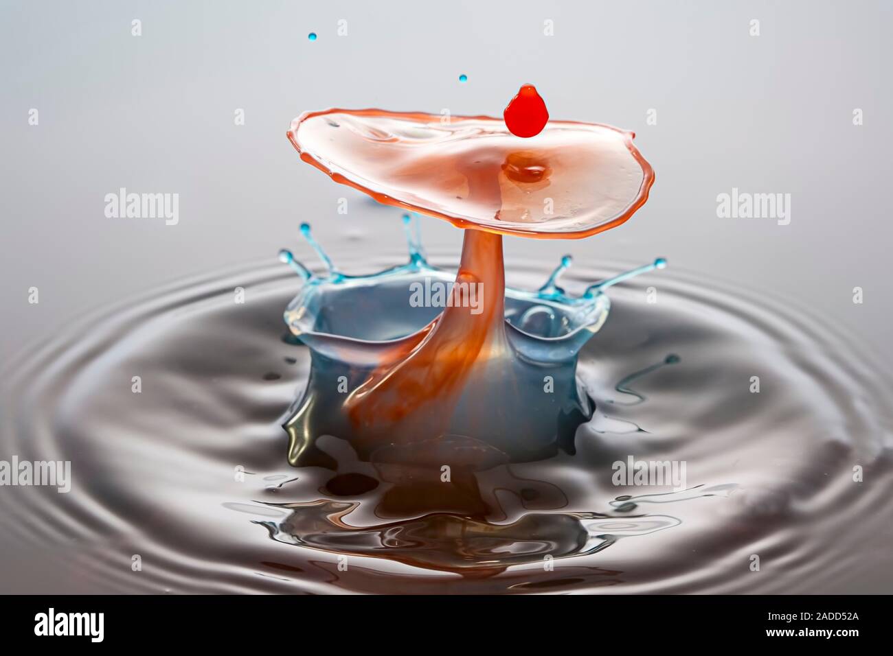 Water drop impact. High-speed photograph of secondary drop formation ...