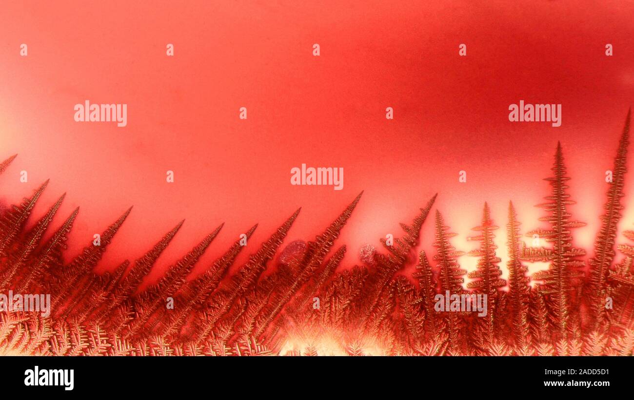 Ammonium chloride crystallization. Light micrograph of crystals of ...