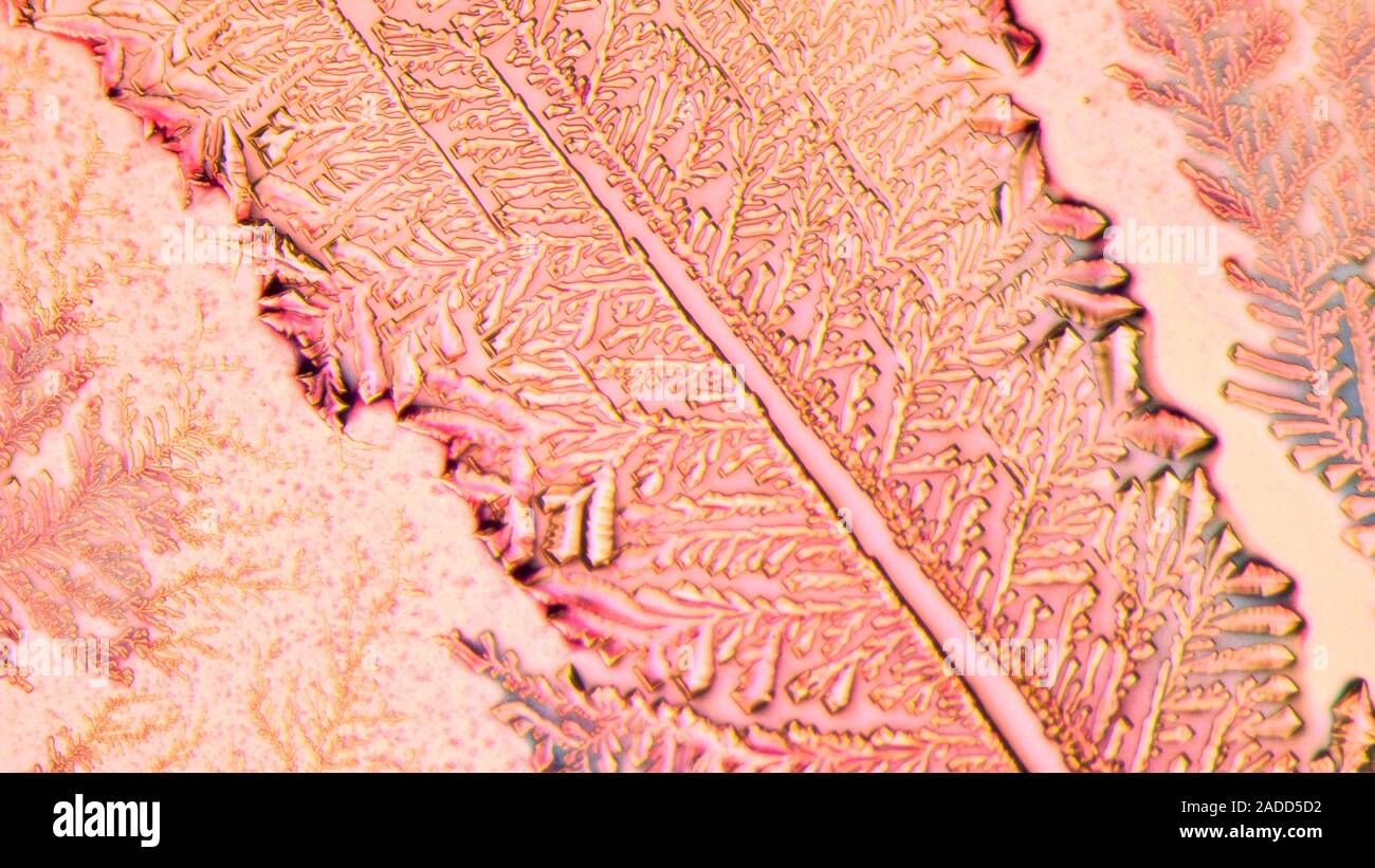 Ammonium chloride crystallization. Light micrograph of crystals of ...