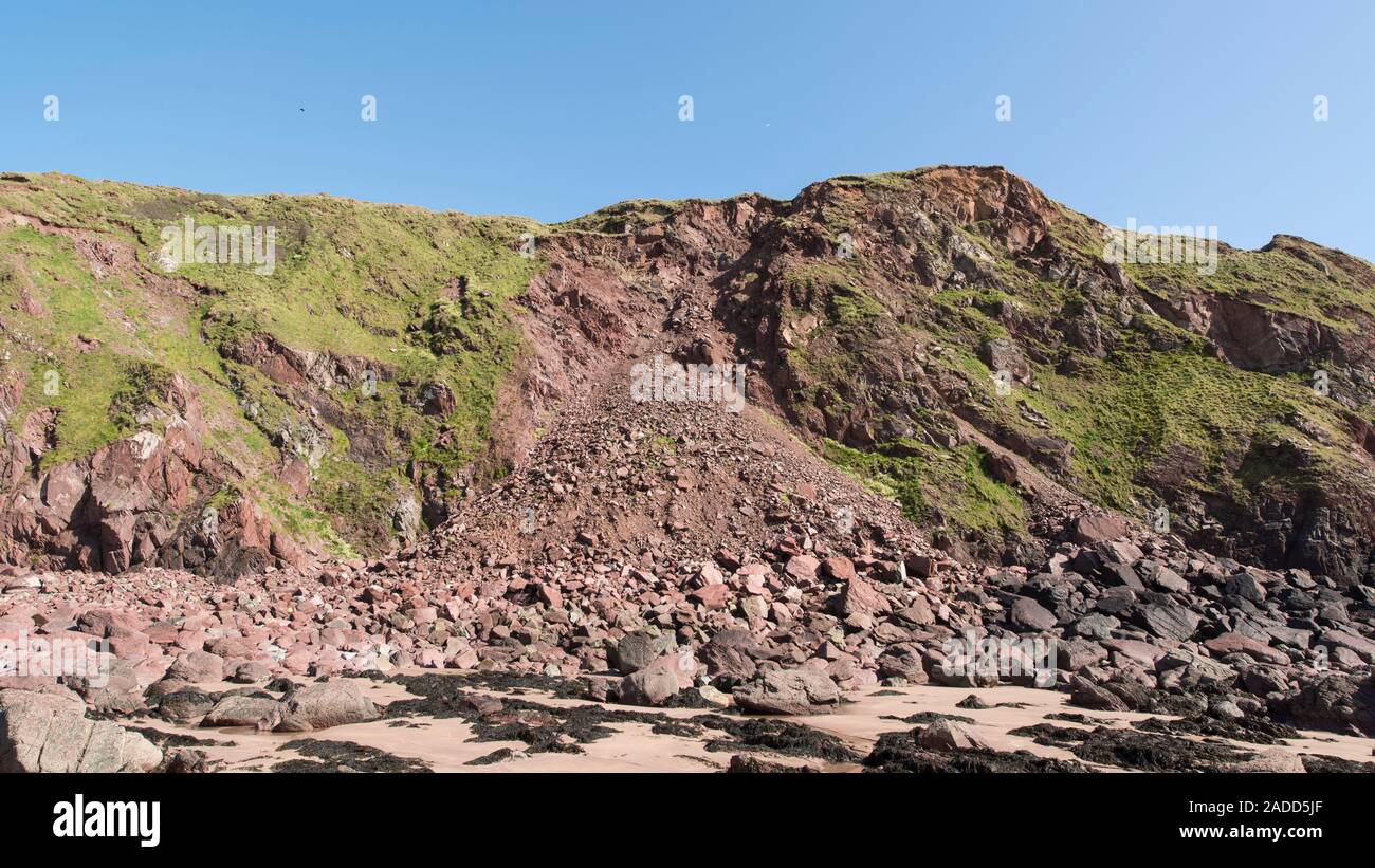 Cliff rockfall of Devonian Old Red Sandstone rocks at West Dale beach ...