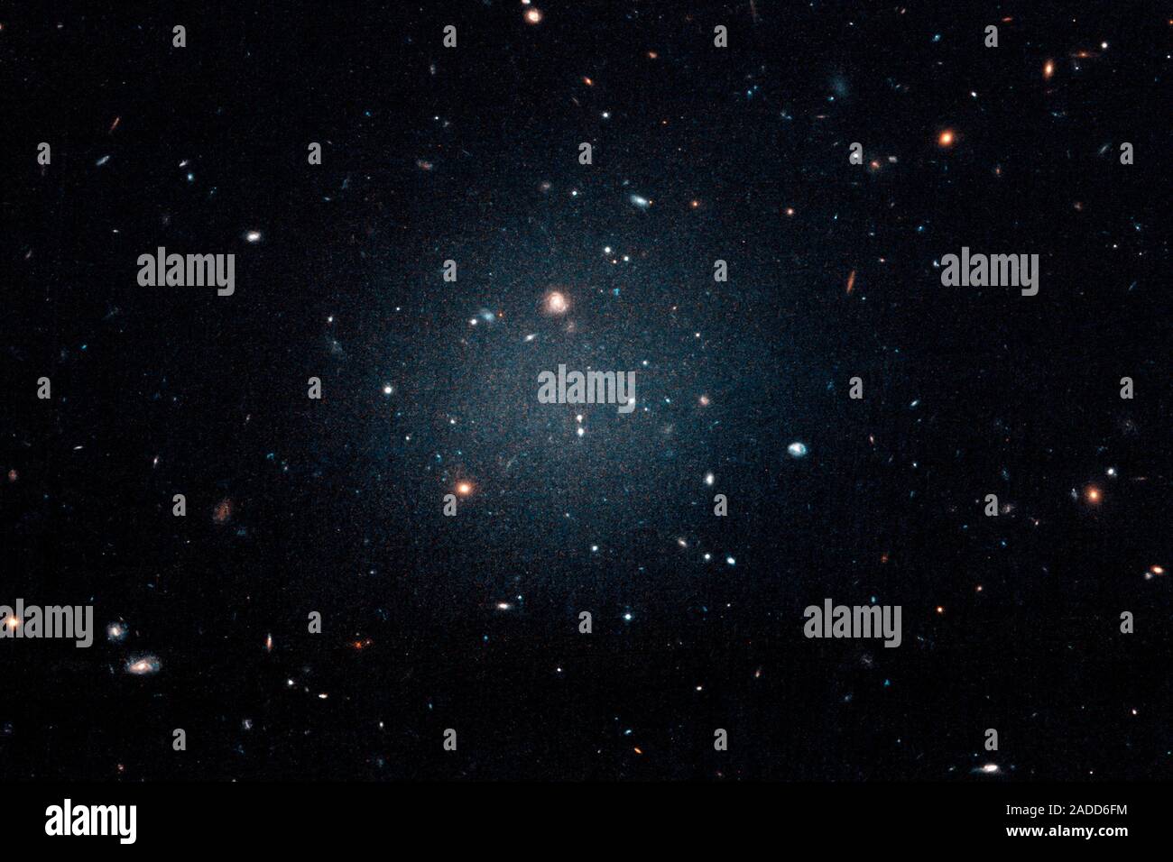 Galaxy NGC 1052-DF2, Hubble Space Telescope (HST) image. This galaxy is ...