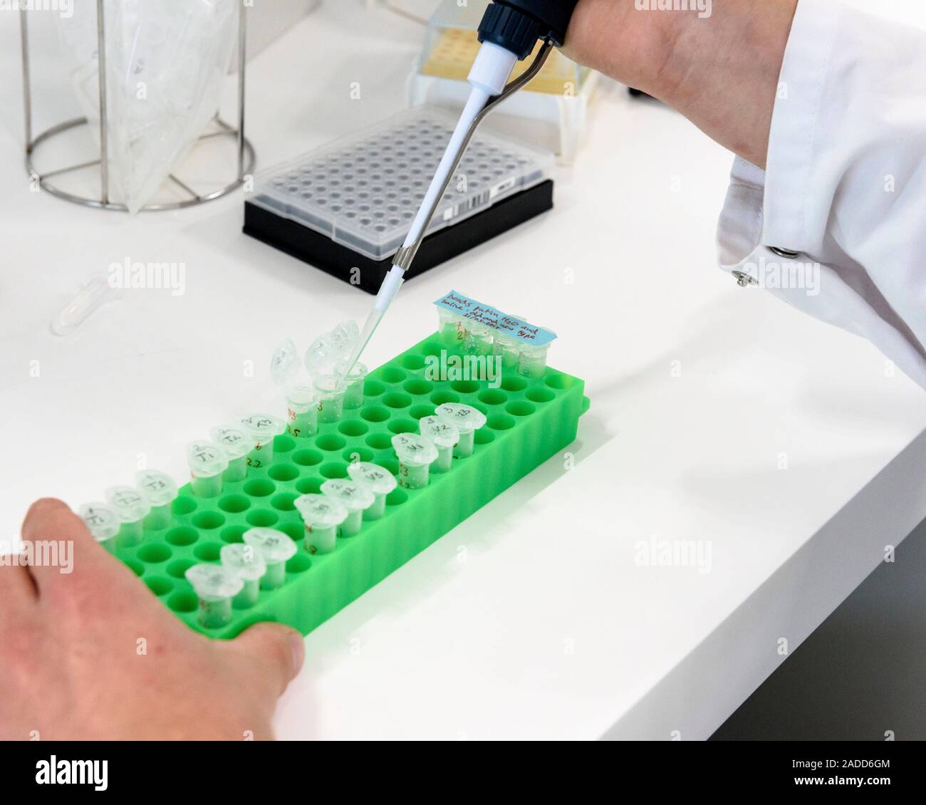 Prototype milk-based food products. Experimental milk-based food ...