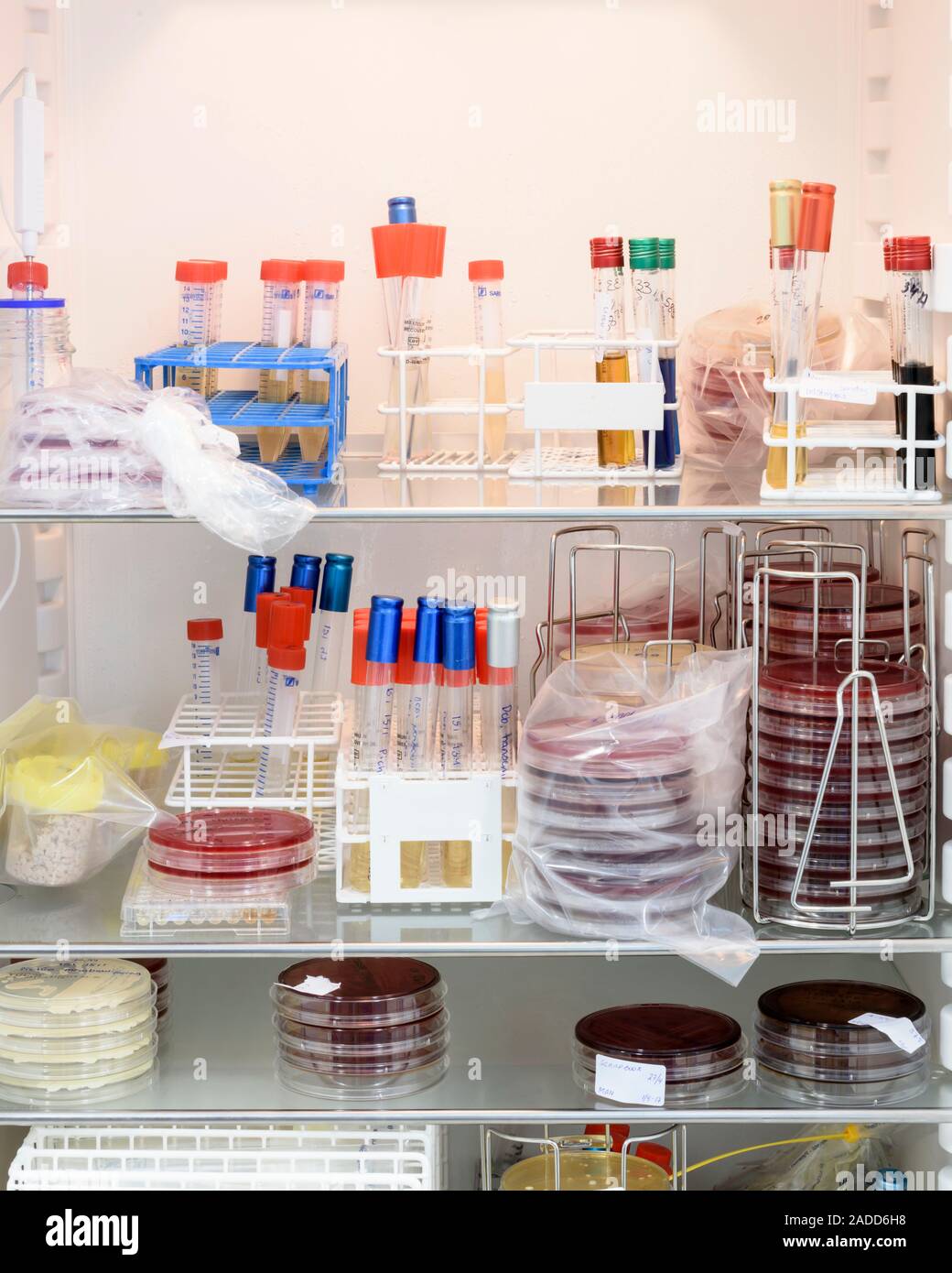 Fridge in food development laboratory. Experimental milk-based food ...