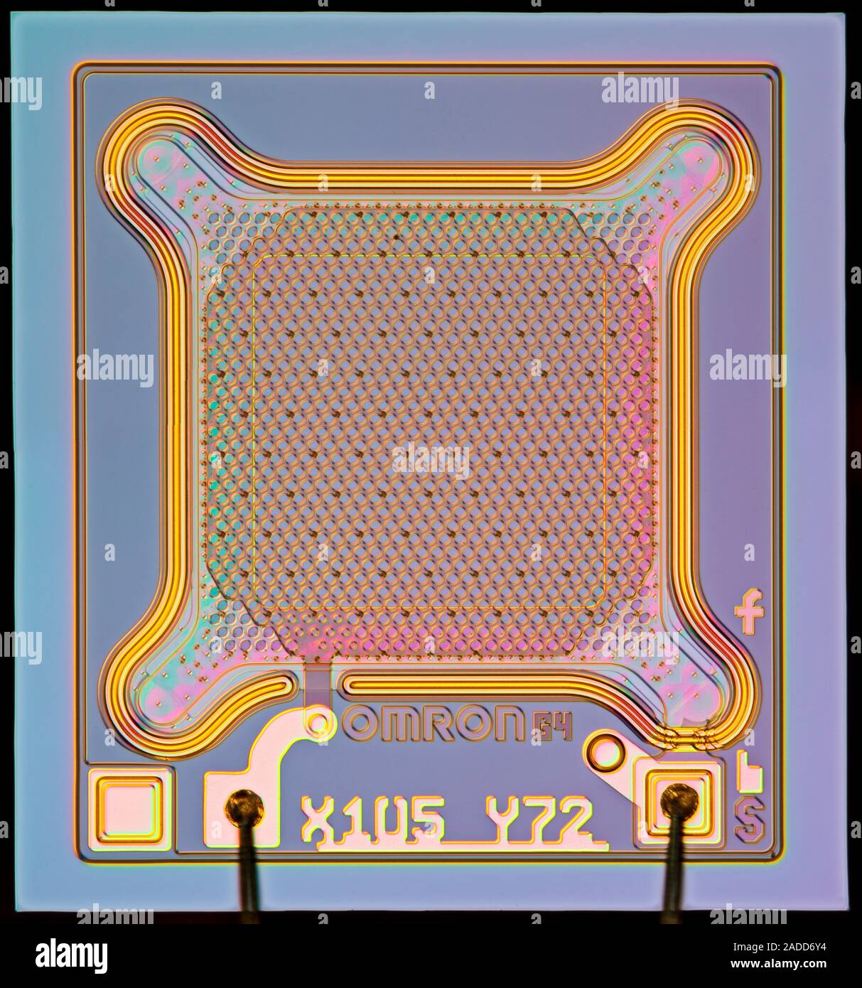 Light micrograph of a MEMS (MicroElectroMechanical System) microphone ...