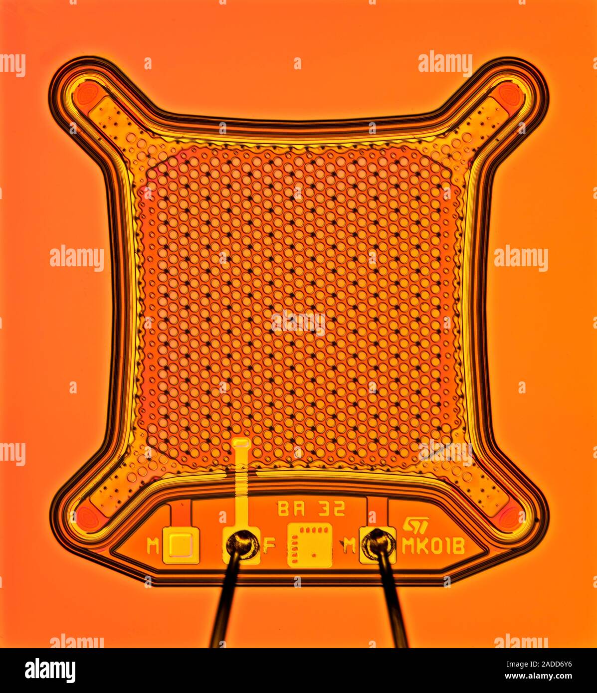 Light micrograph of a MEMS (MicroElectroMechanical System) microphone ...