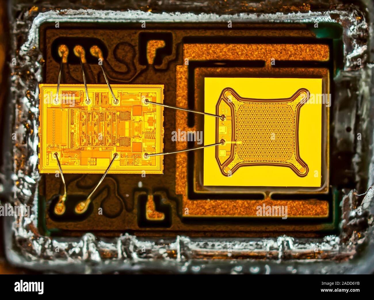 Light micrograph of a MEMS (MicroElectroMechanical System) microphone ...