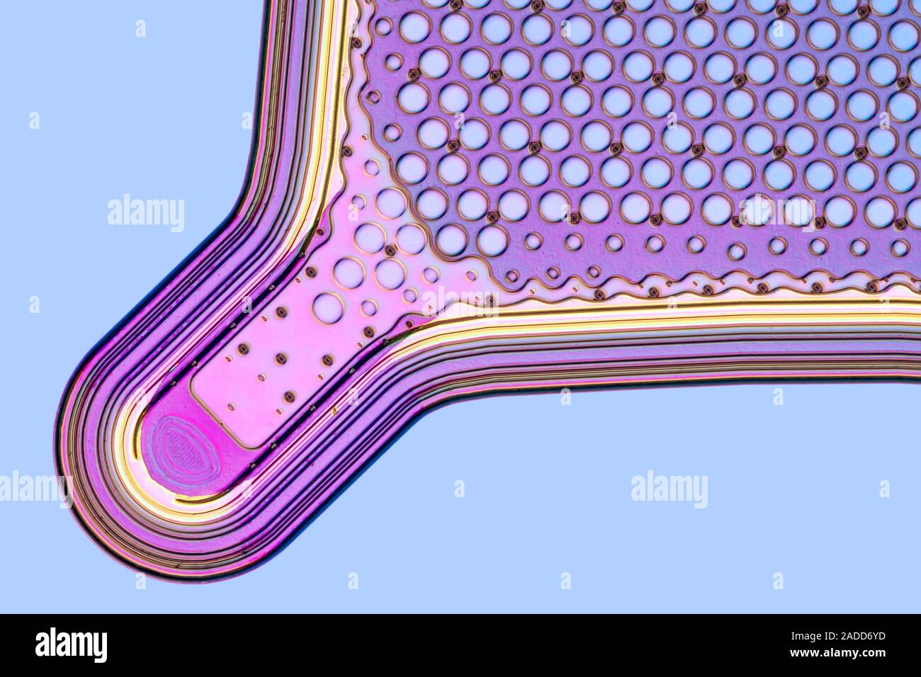 Light micrograph of a MEMS (MicroElectroMechanical System) microphone ...