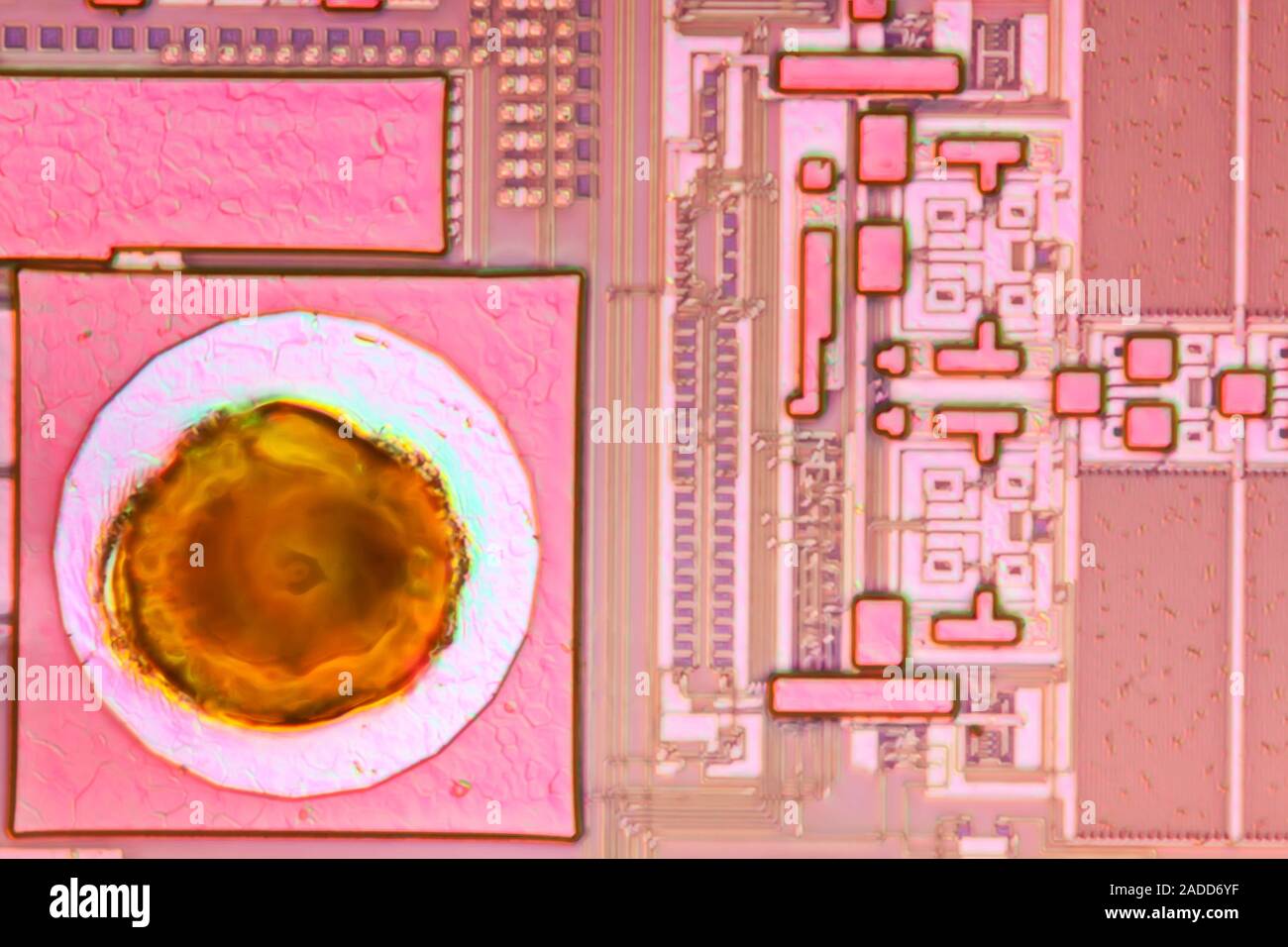 Light micrograph of a MEMS (MicroElectroMechanical System) microphone ...