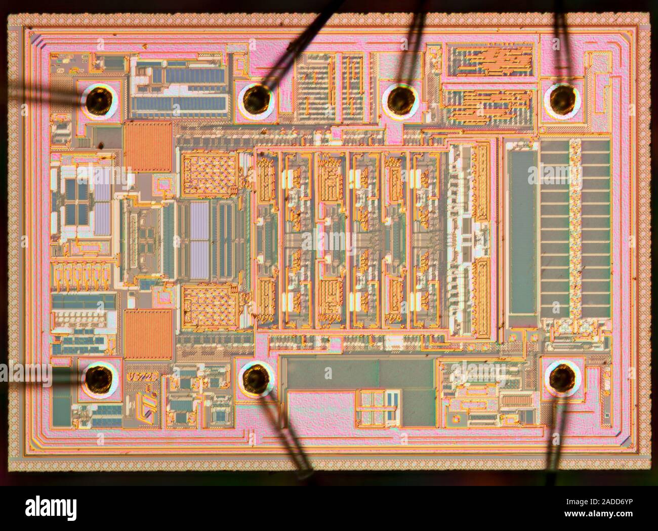 Light micrograph of a MEMS (MicroElectroMechanical System) microphone ...