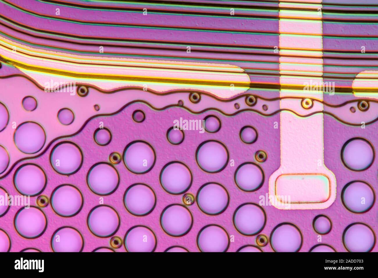 Light micrograph of a MEMS (MicroElectroMechanical System) microphone ...