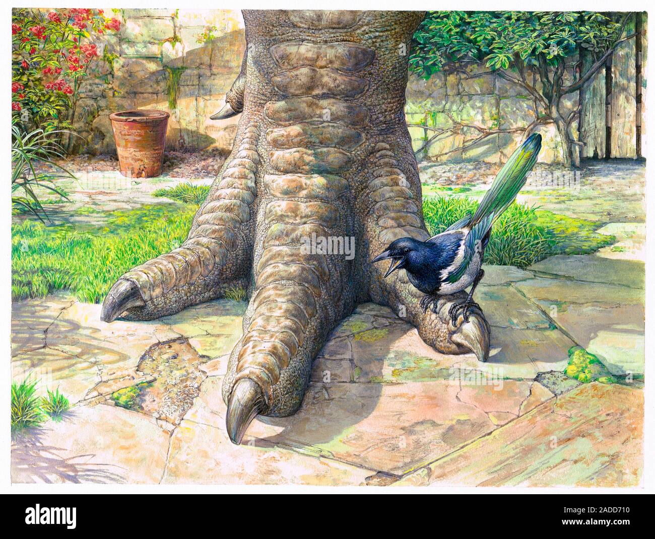 Magpie and dinosaur foot, conceptual illustration. The magpie is an ...