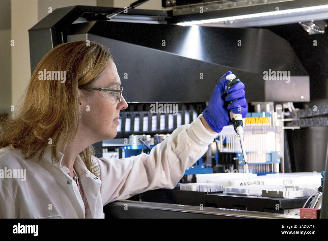 DNA genotyping and sequencing. Technician loading a robot machine being ...
