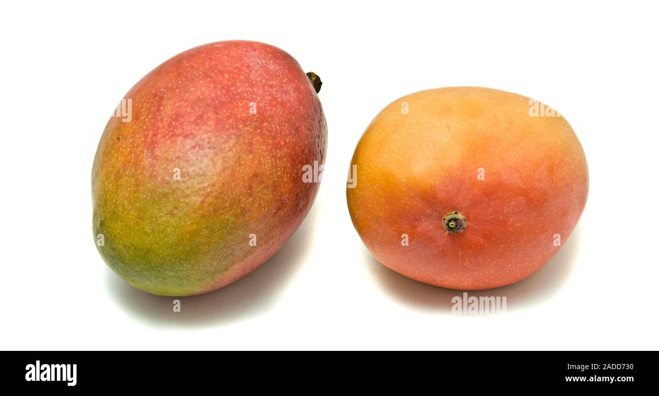 Two mangoes isolated on white background Stock Photo - Alamy