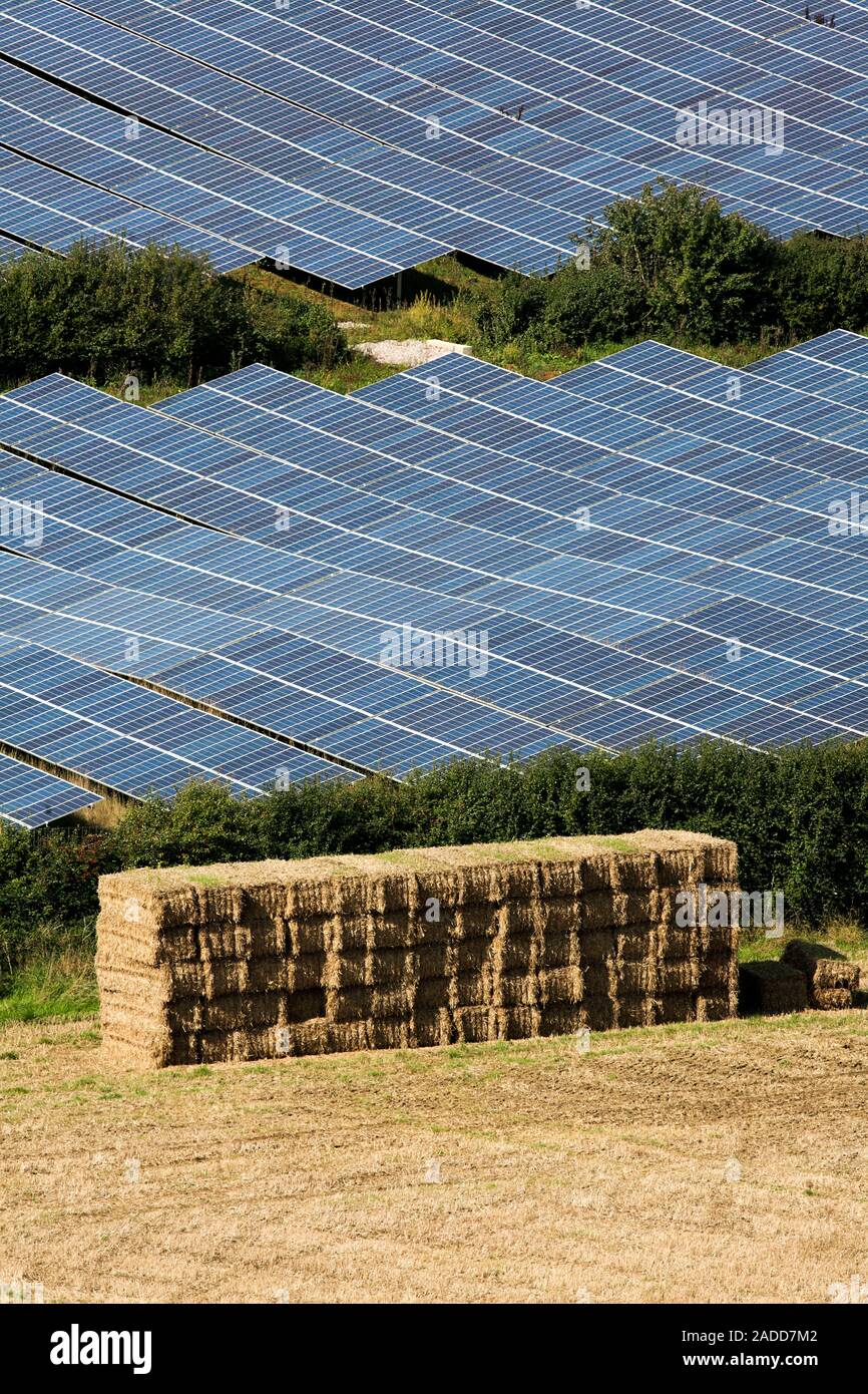 Milborne Port Solar Farm panels. Part of the photovoltaic arrays that ...