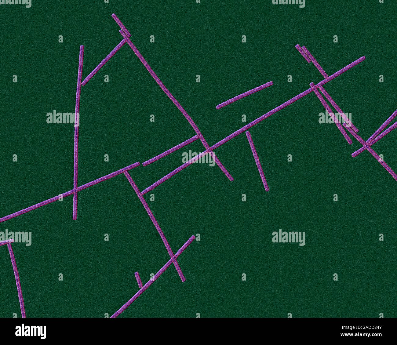 Tobacco mosaic virus. Coloured transmission electron micrograph (TEM ...