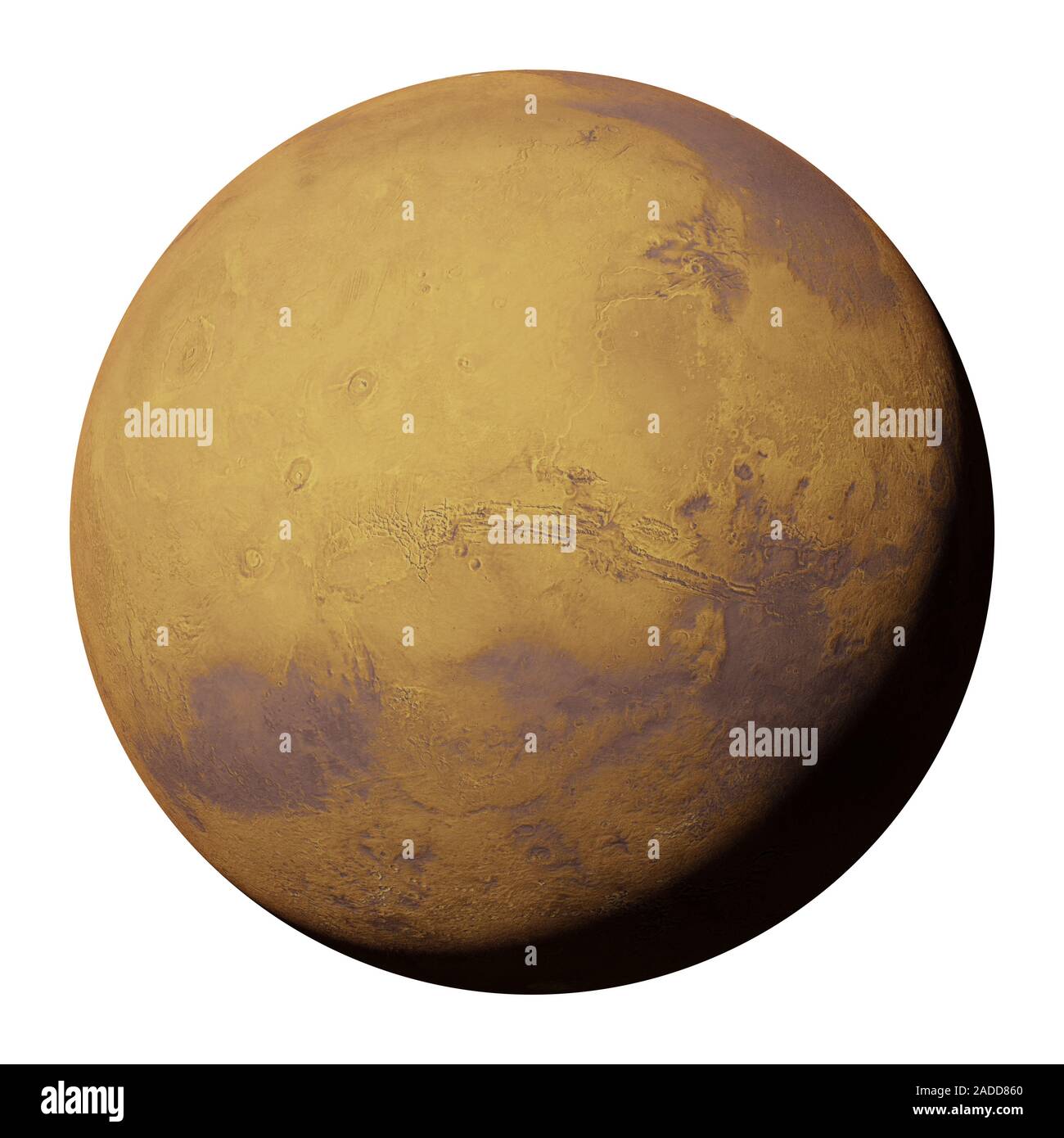 planet Mars in natural colors isolated on white background Stock Photo ...