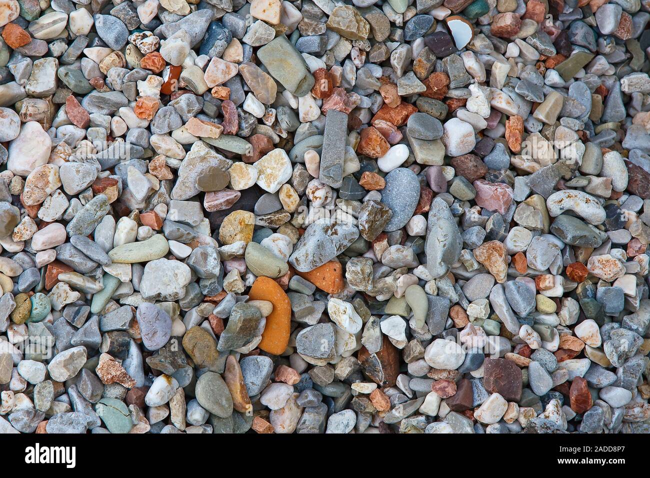 Beautiful pebbles on the seashore. Rubble by the sea Stock Photo - Alamy