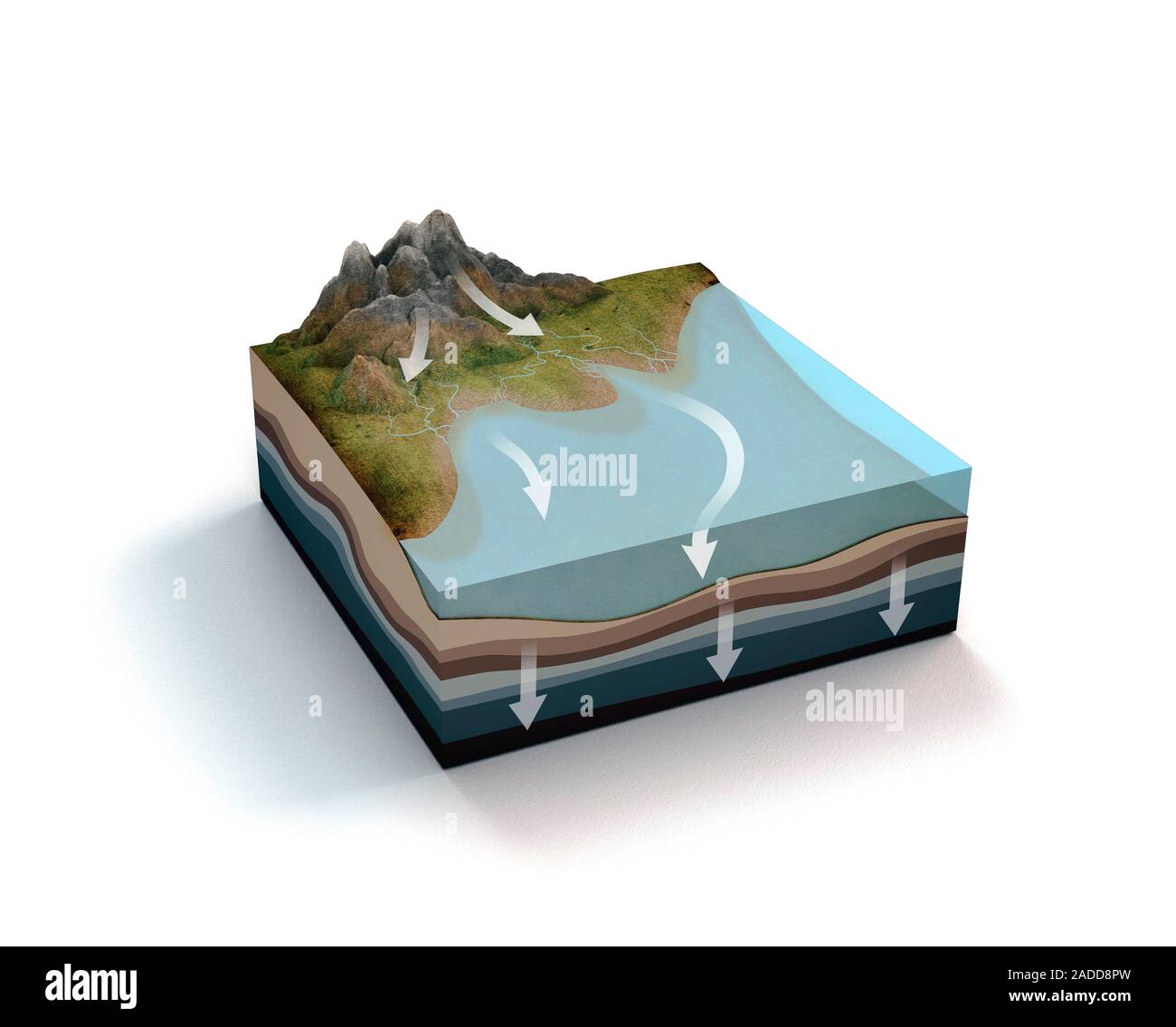 Formation of sedimentary rock. Block illustration of the flow of ...