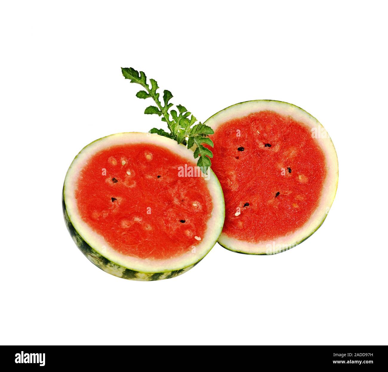 Watermelon and half isolated on white background Stock Photo - Alamy