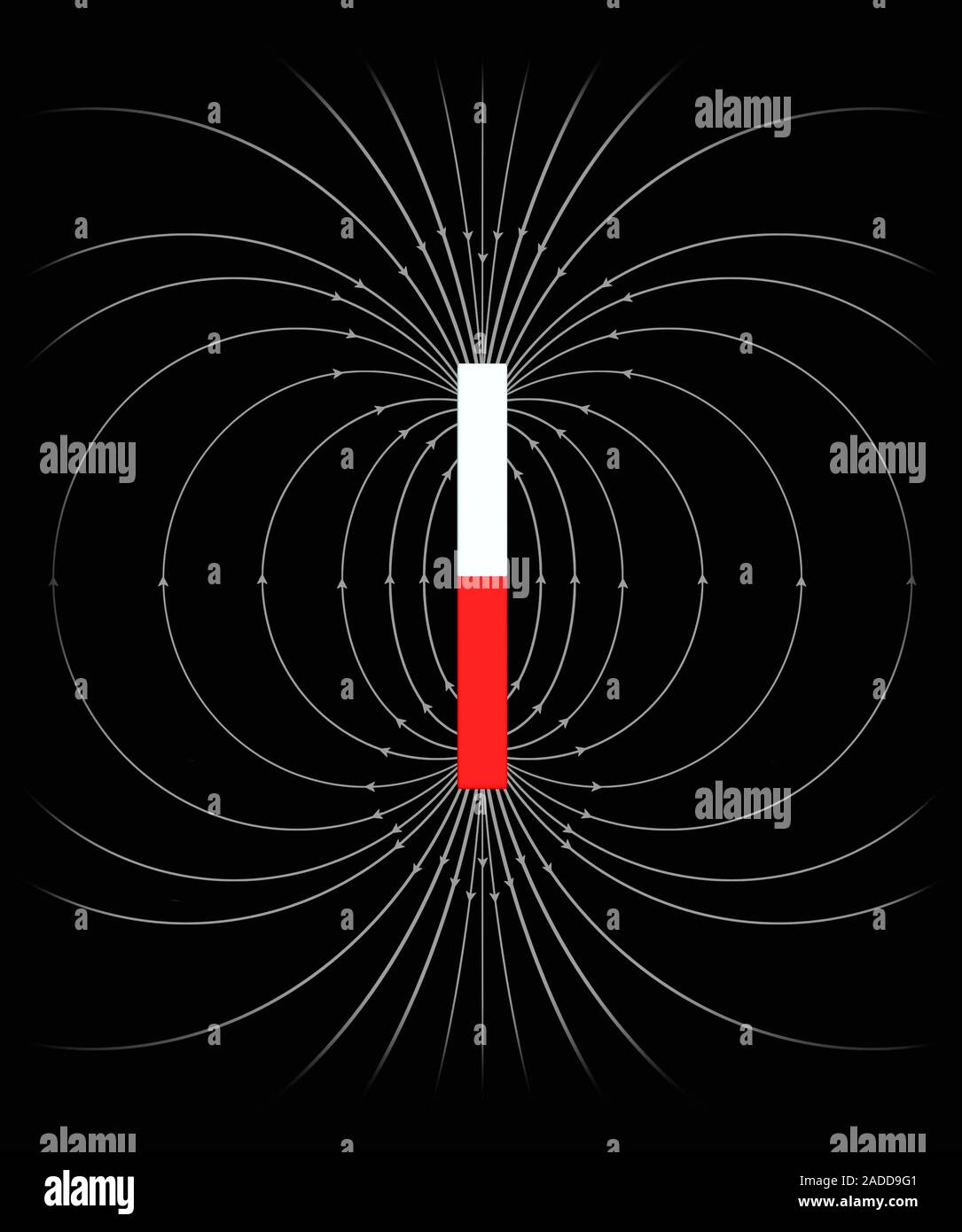 Magnetic field of a bar magnet, illustration. By convention, the poles ...