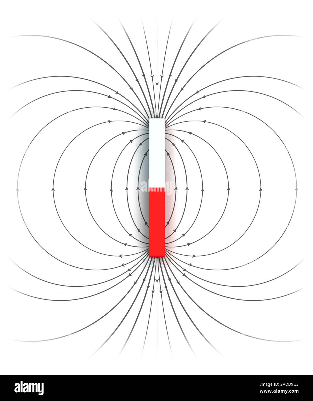 Magnetic field of a bar magnet, illustration. By convention, the poles ...