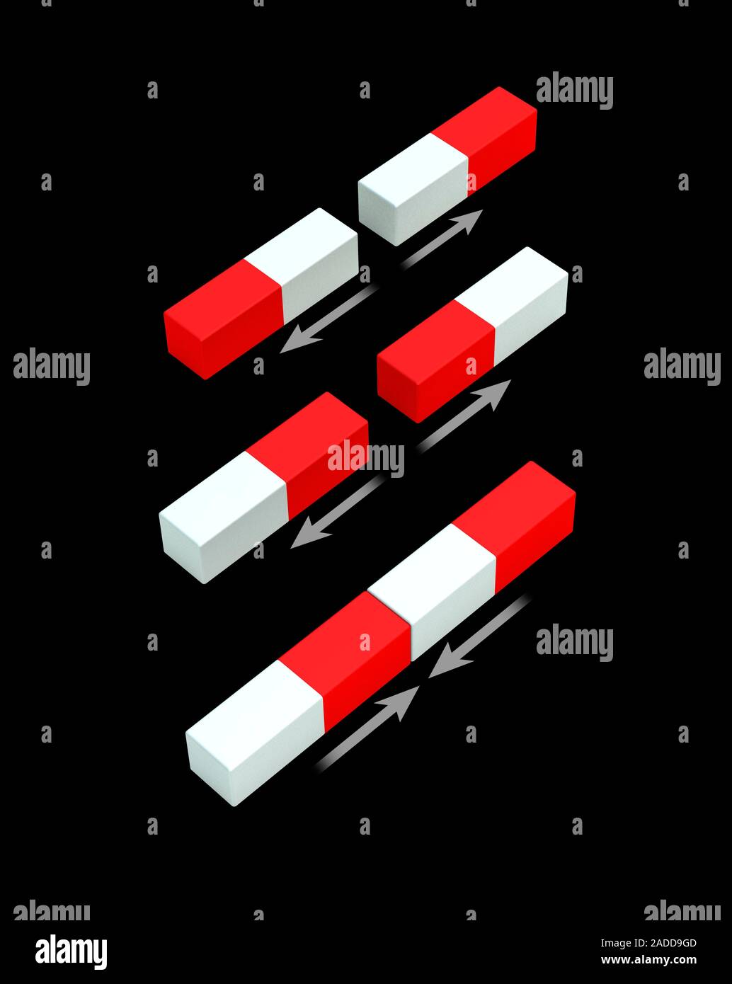 Interaction between magnetic poles. Illustration of bar magnets showing ... Interaction between magnetic poles. Illustration of bar magnets showing ...