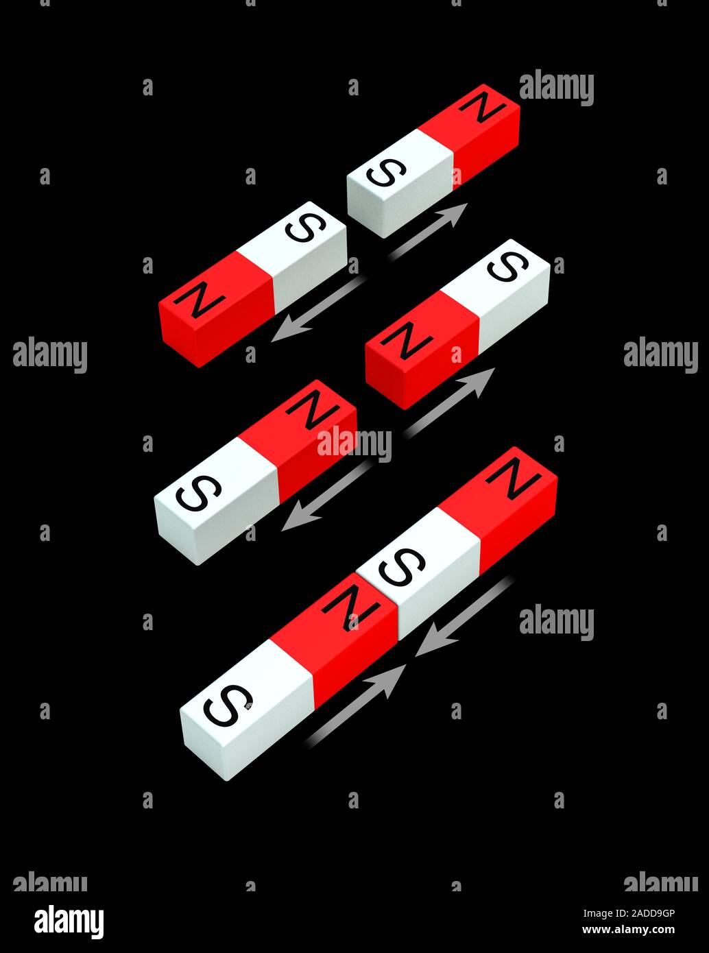 Interaction between magnetic poles. Illustration of bar magnets showing ...