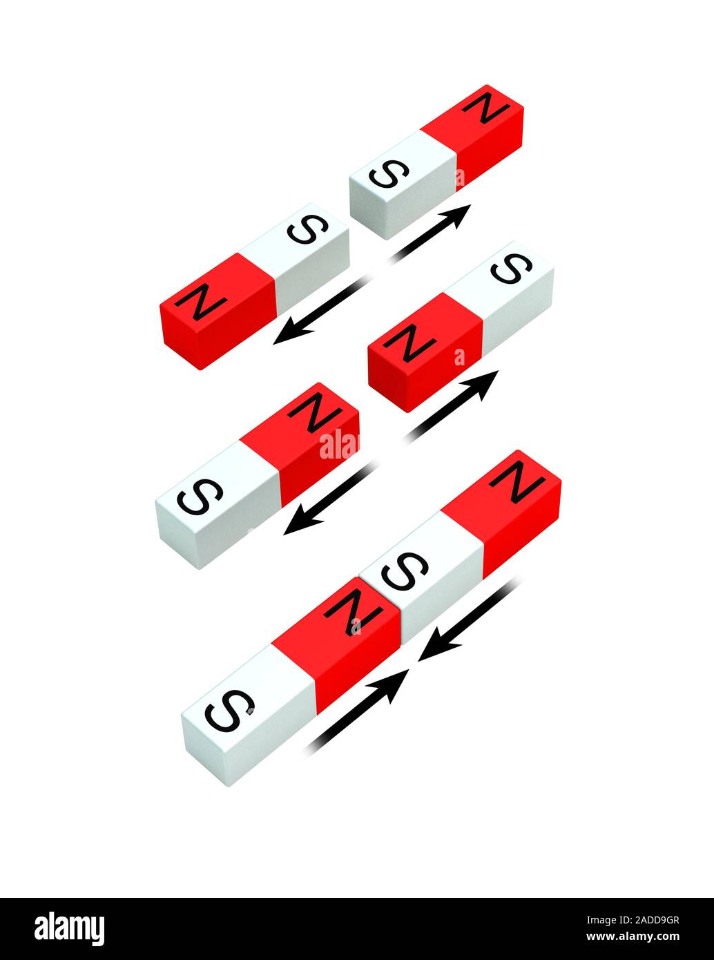 Interaction between magnetic poles. Illustration of bar magnets showing ...