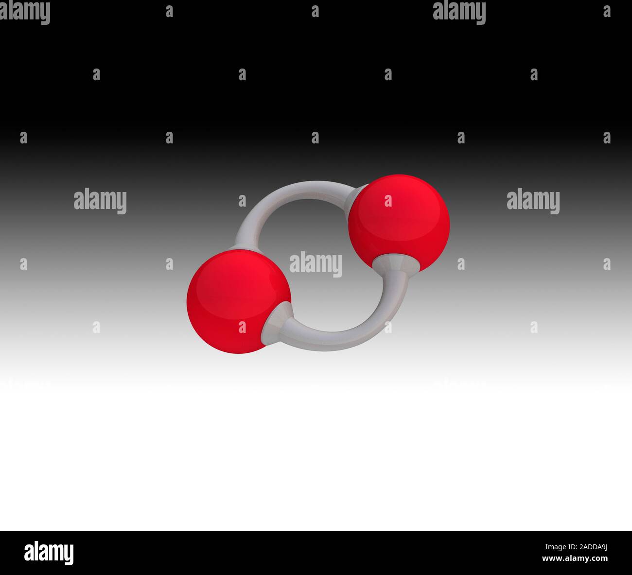 Oxygen molecule. Computer illustration showing the structure of a ...